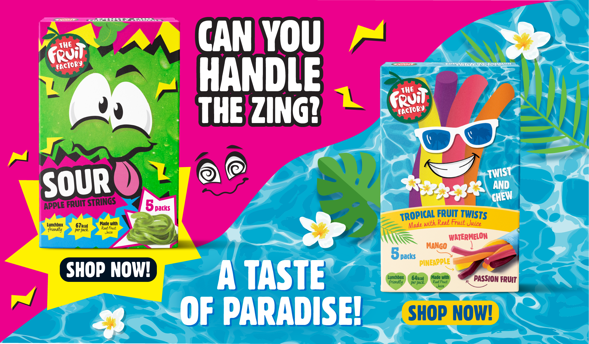 The Fruit Factory - Fruit Snacks for Kids in UK
